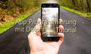 Programmieren lernen mit Delphi und Pascal