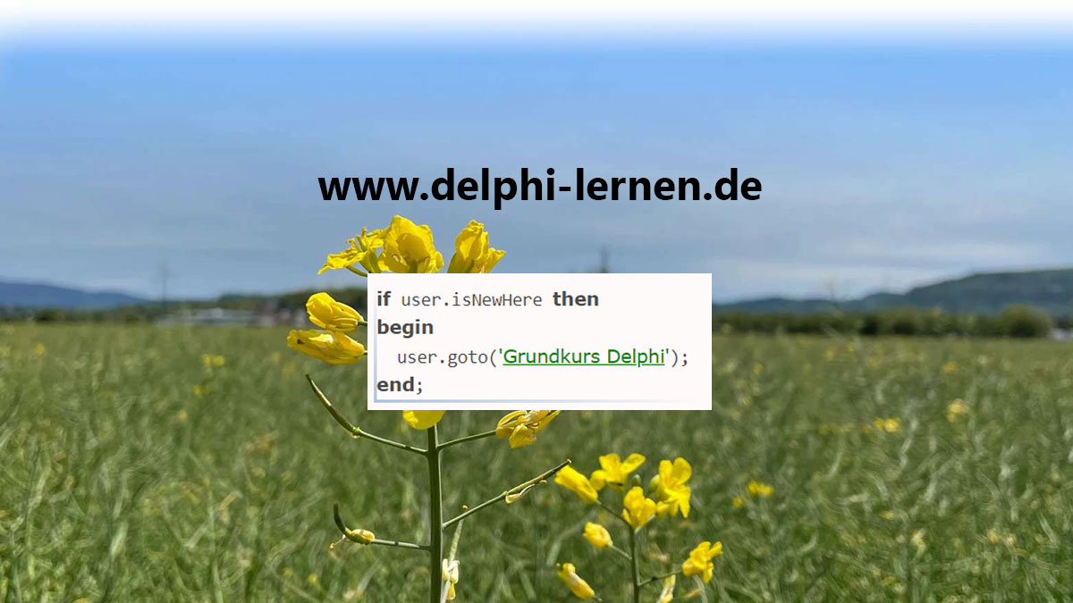 Programmieren lernen mit Delphi und Pascal
